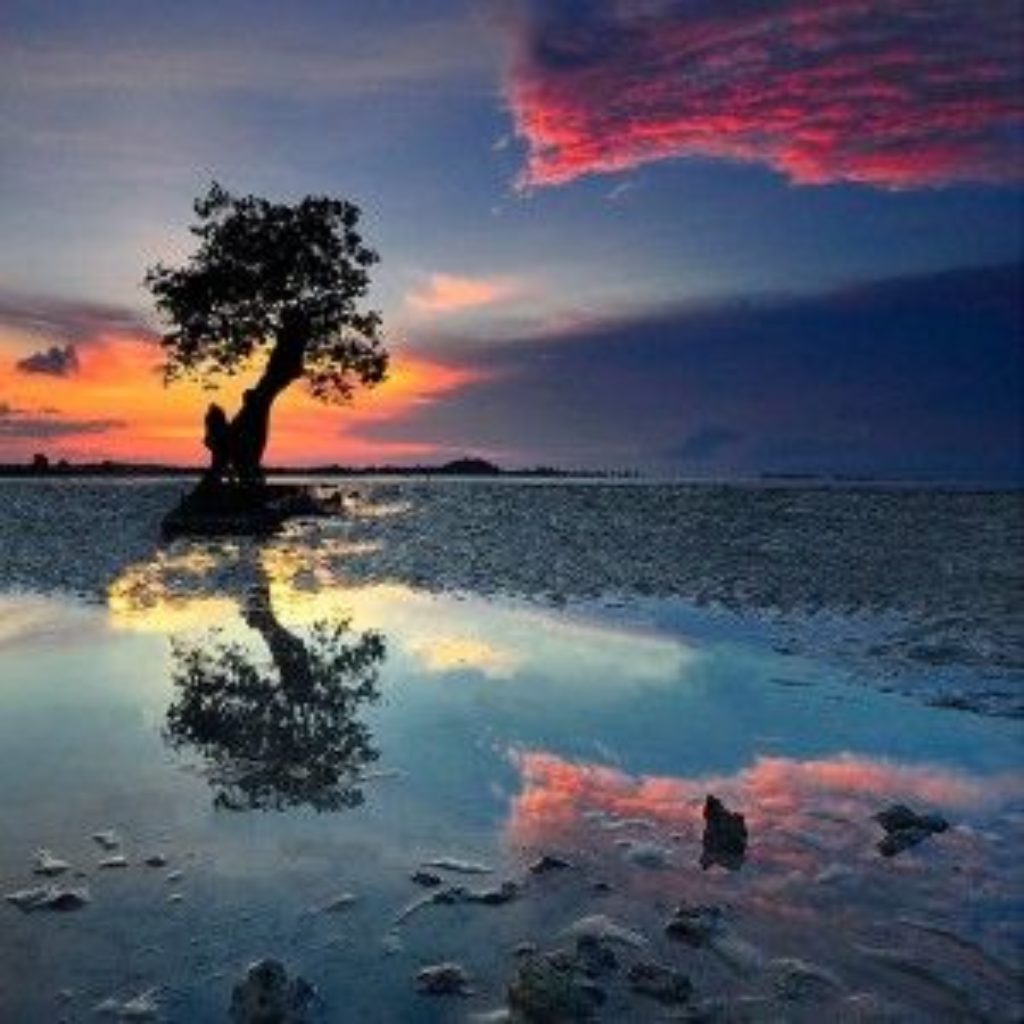 This Precious Human Life Kate Munding Mindfulness Exercises This Precious Human Life Kate Munding Mindfulness Exercises