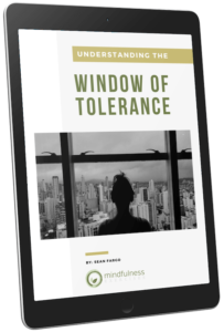 Understanding the Window of Tolerance