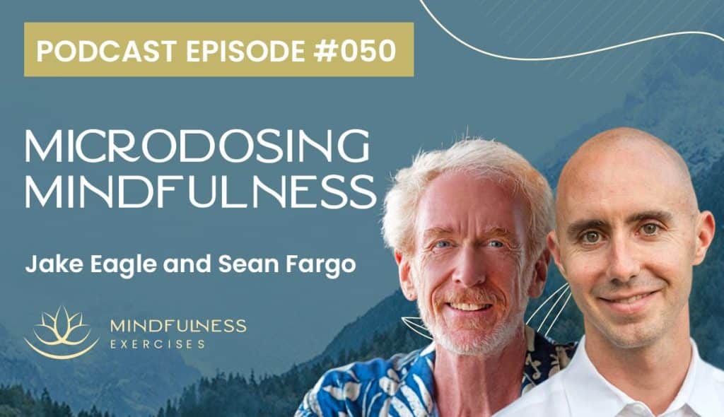 Microdosing Mindfulness, with Jake Eagle and Sean Fargo