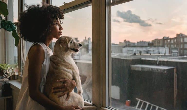 Unlock your Power with 100+ Inspiring Empathy Quotes