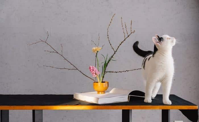 How To Increase Optimism | Mindfulness Exercises